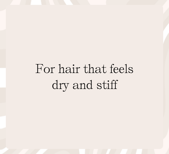 For Damaged Hair that Feels Dry and Stiff - HairMNL - HairMNL